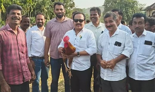 Police action on Kepu temple’s Kori Katta ritual raises questions on ...