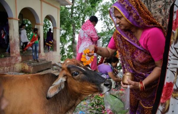Cow Protection in the Divine Vedic Scriptures